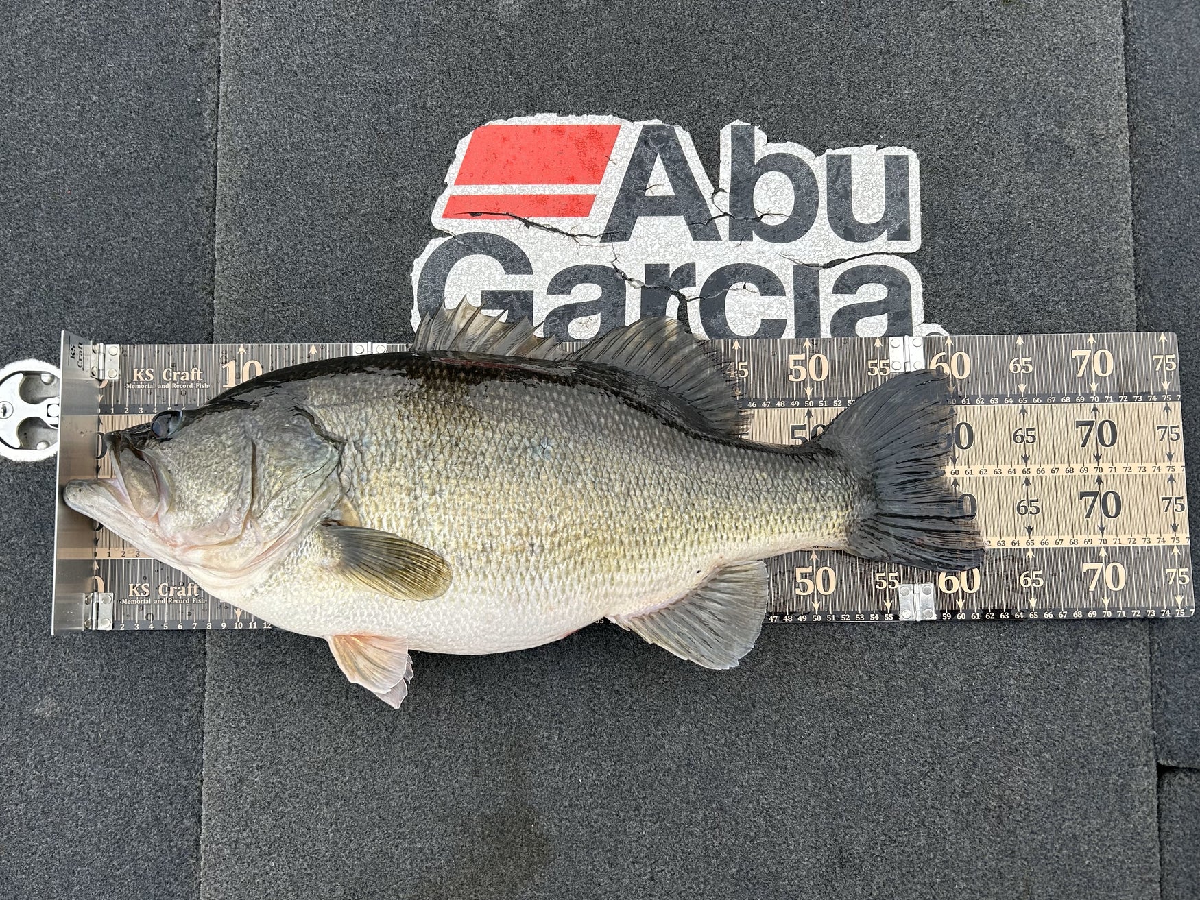 釣果ギャラリー – KS Craft